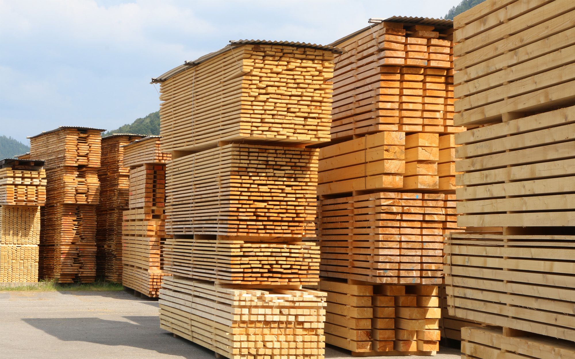 USDA Timber Production Loans | Ready Capital